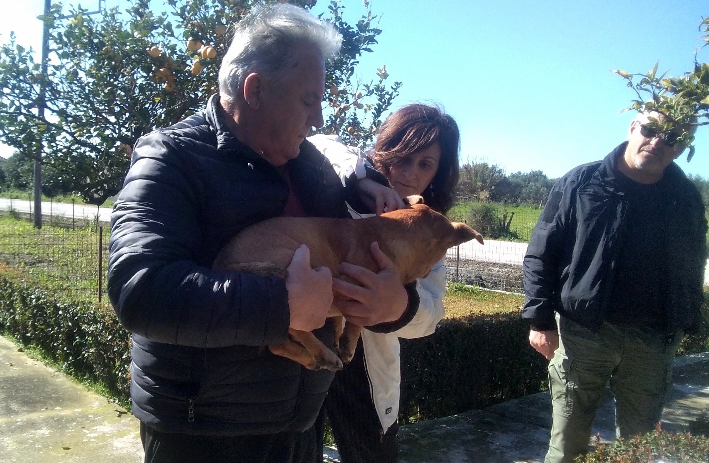 ΑΡΤΑ: ΔΩΡΕΑΝ ΣΗΜΑΝΣΗ ΣΕ ΖΩΑ ΣΥΝΤΡΟΦΙΑΣ | ArtaVoice - Τα νέα της Άρτας ...