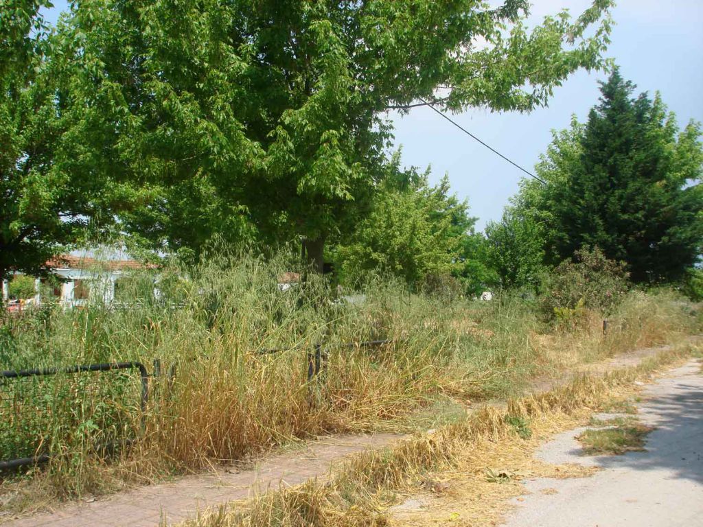 ΔΗΜΟΣ ΣΚΟΥΦΑ: Να γινουν καθαρισμοι και αποψιλωσεις των ιδιοκτησιων ...